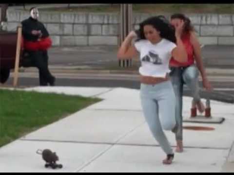 Girls funny gif ft.rat