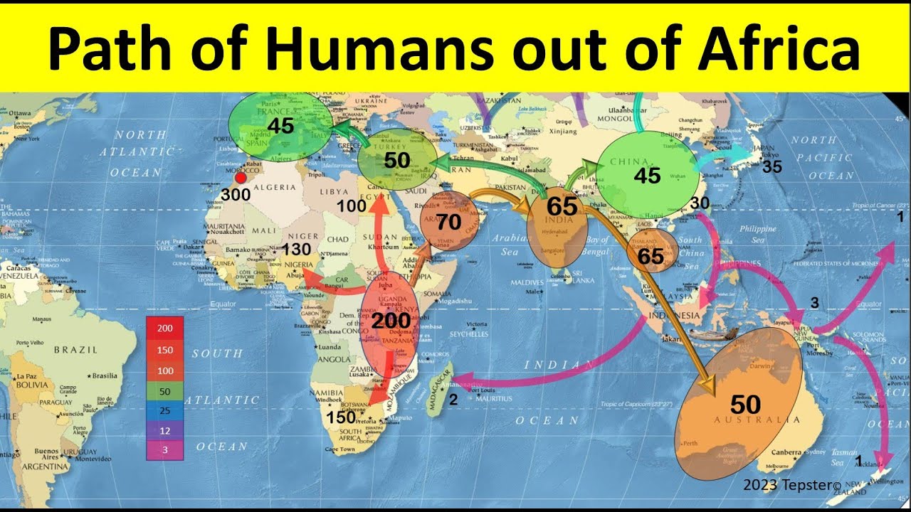 Map of Human Migration out of Africa