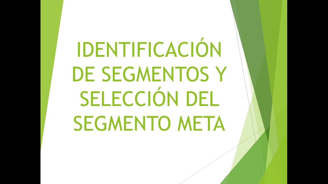 IDENTIFICACIÓN DE SEGMENTOS Y SELECCIÓN DEL MERCADO META