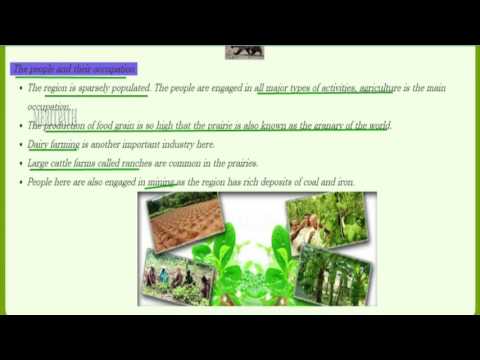 7 Class VII CBSE Social LIFE IN THE TEMPERATE GRASSLANDS