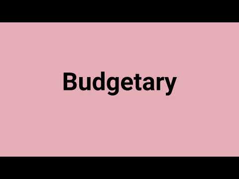 'Budgetary' Meaning and Pronunciation