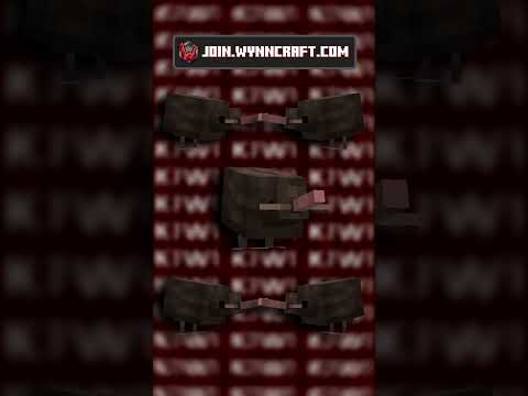 Get an EXCLUSIVE KIWI! - Update Teaser