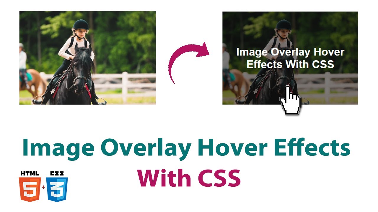 Image Overlay Hover Effects With CSS | CSS Overlay Effect