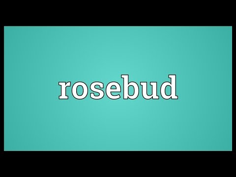 Rosebud Meaning