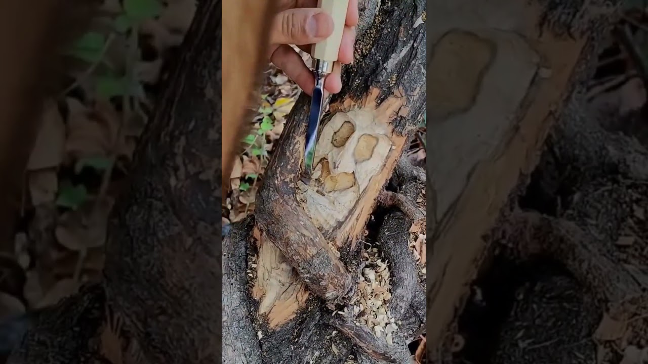 Wood carving in nature on a dead tree. #artonwood #woodart #woodcarving