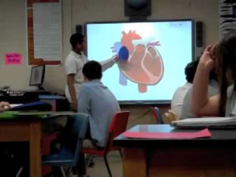 master teachers tech