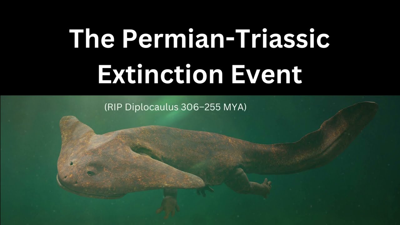The Permian-Triassic Extinction Event Explained. How the great dying caused the Dinosaurs.