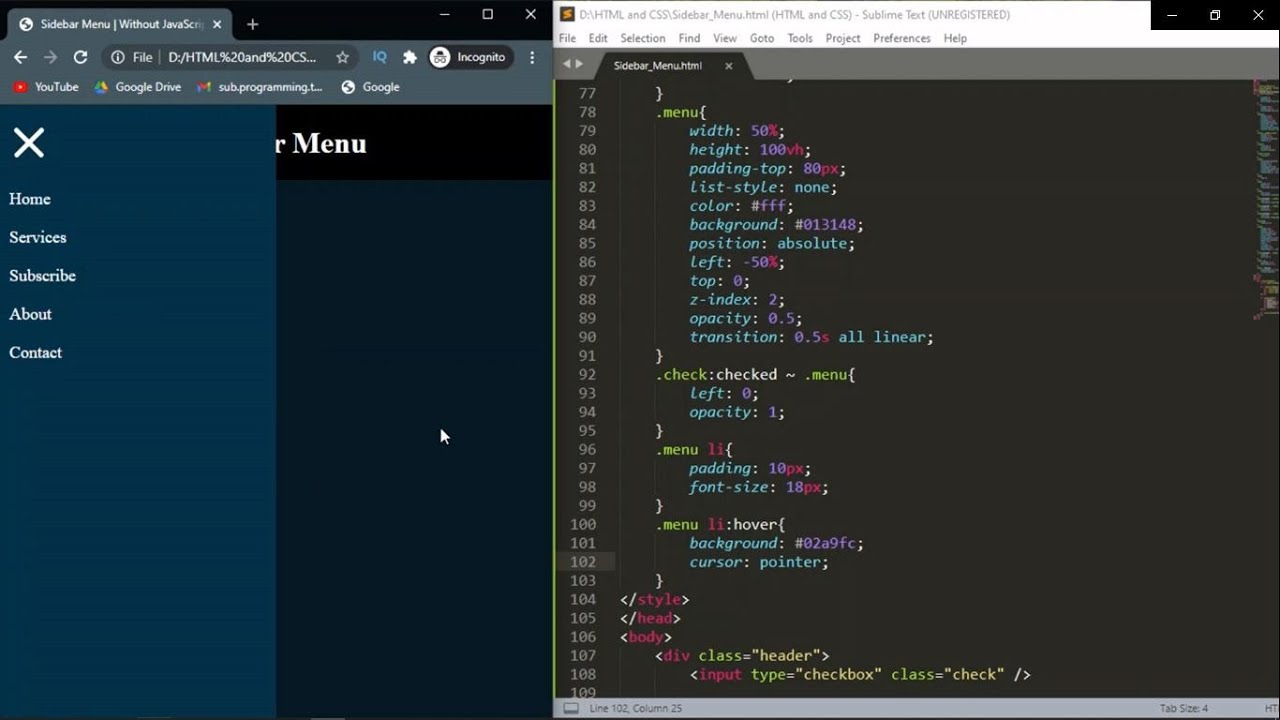 Sidebar Menu Using HTML And CSS Only | No JavaScript | ProgrammingTT