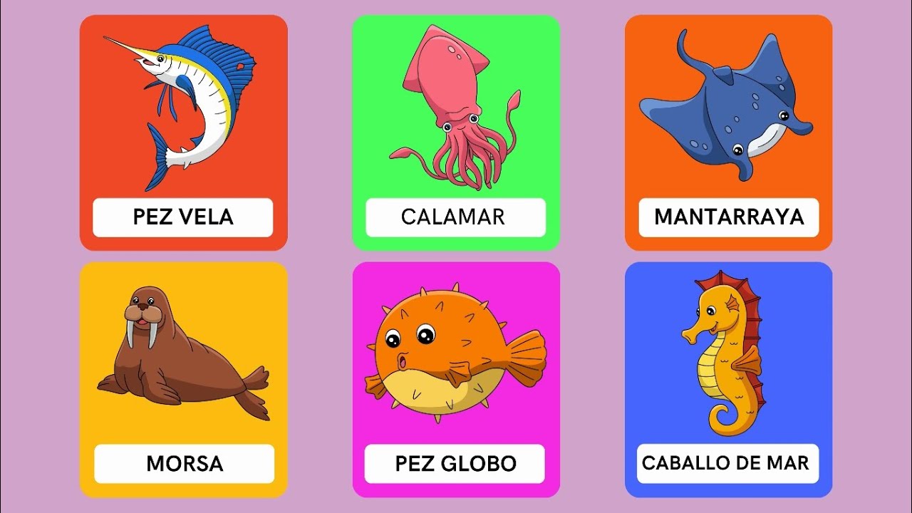 Aprende los Animales Marinos con nuestras tarjetas didácticas 🌊🐠🐳 | Aprende con Gael y Owen