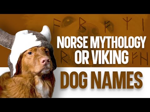 Norse Mythology or Viking Dog Names
