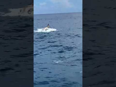 Capsized Boat After Storm