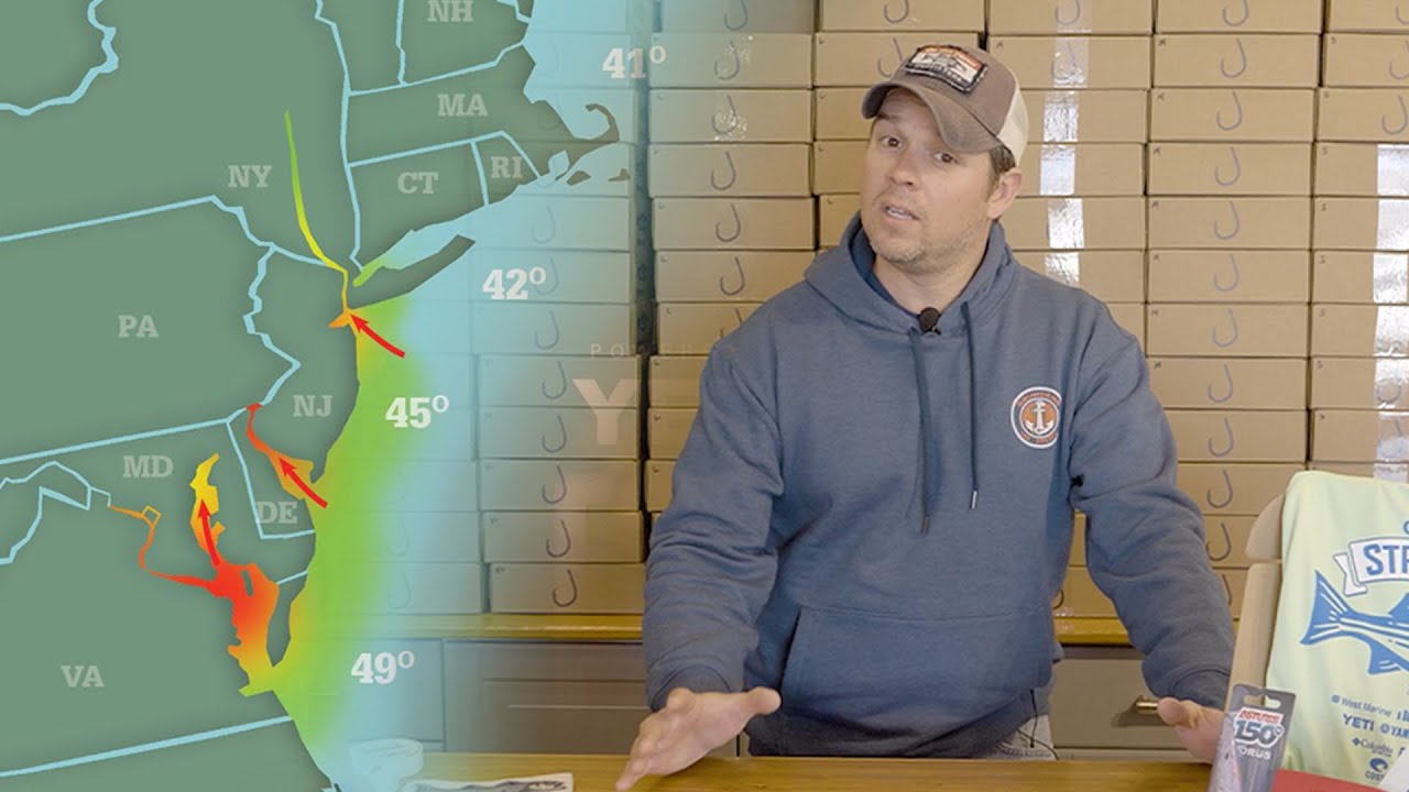Striper Season Update: Striper Migration Map Explained
