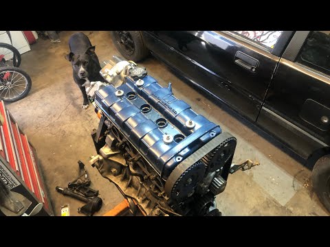 D16a1 rebuild part 1