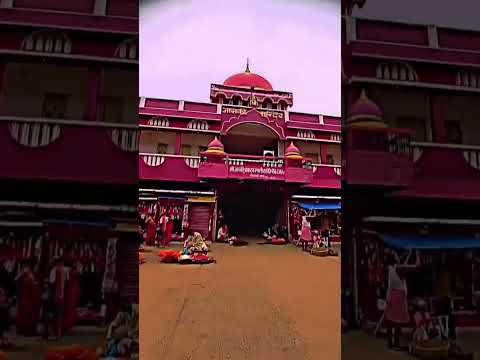 instragram viral video song 10.1M viwes 😱😱/#sitamarhi #shortvideo #shorts