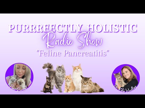 Feline Pancreatitis | The Purrrfectly Holistic Radio Show