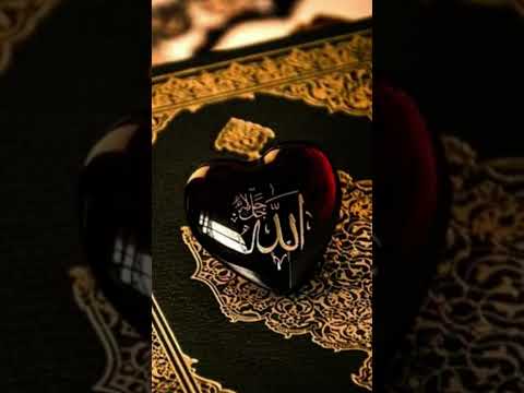 Allah hu akbar