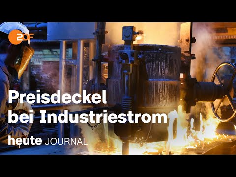 heute journal vom 29.04.2023 Industriestrom, Sicherheit Taiwans, Leipziger Buchmesse (english)