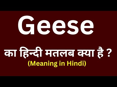 Geese meaning in hindi || Geese ka matlab kya hota hai || word meaning daily use word