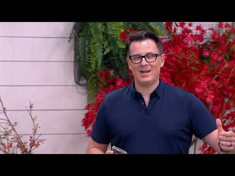 Arlo Essential Indoor/Outdoor Spotlight Camera 3-pack on QVC