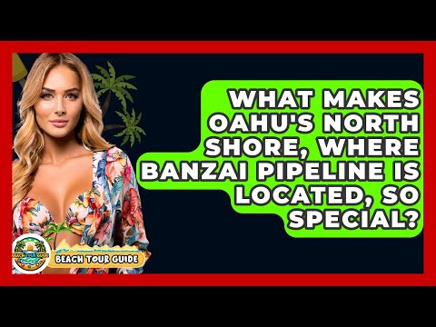 What Makes Oahu's North Shore, Where Banzai Pipeline Is Located, So Special? - Beach Tour Guide