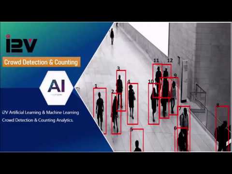 i2V Crowd Counting and Detection Analytics