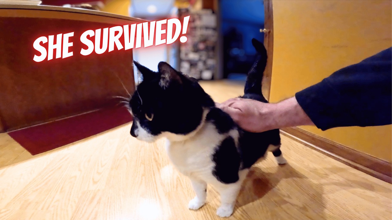 HUGE Thunderstorms! And patio progress!