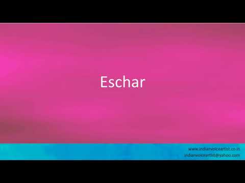Pronunciation of the word(s) "Eschar".