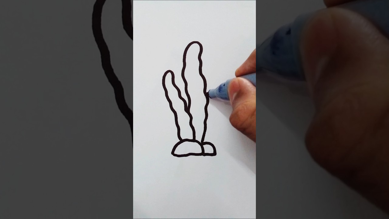 How to Draw a Aquatic Plant #shorts