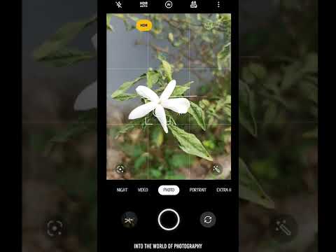 Mobile photography tips 📲 #21 Flower photography