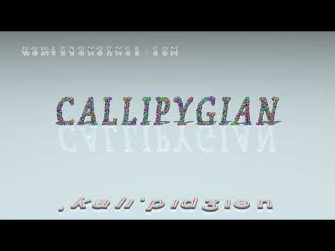 callipygian - pronunciation + Examples in sentences and phrases