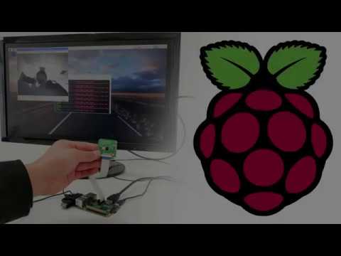 Arducam Global Shutter MIPI Camera Module for Raspberry Pi 4/3B+/3 and More