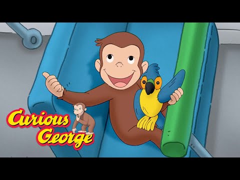 Curious George šµ George's Favourite Plush Toy šµ Kids Cartoon šµ Kids Movies šµ Videos for Kids