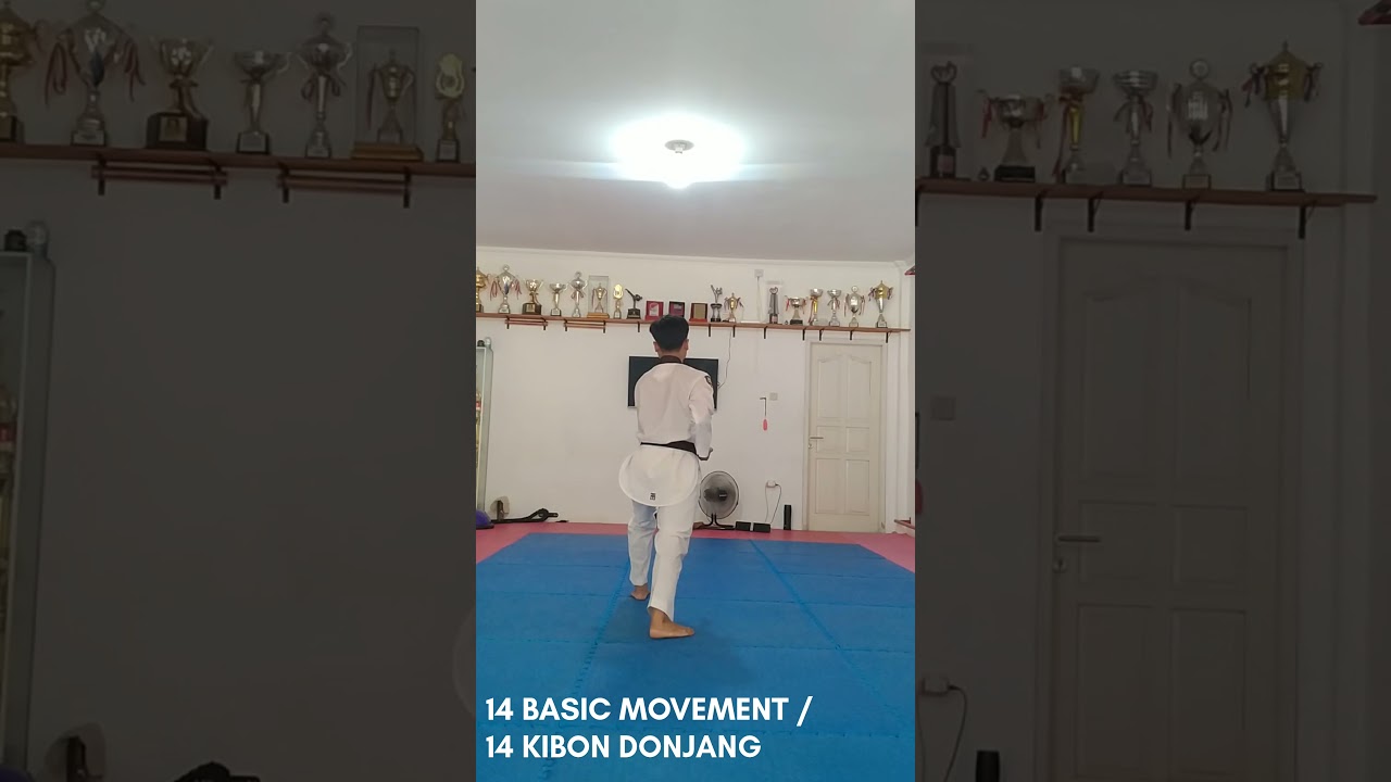 14 BASIC MOVEMENT