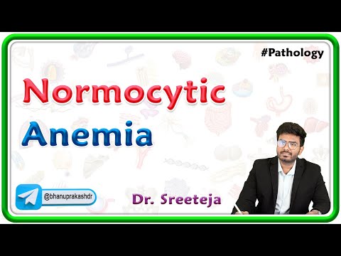 5. Normocytic Anemia | USMLE Step Pathology