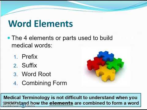 Lecture Ch1 Word Building Rules and Prefixes pt.1