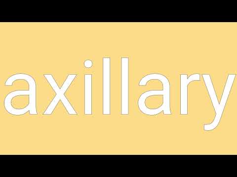 Axillary Definition & Meaning