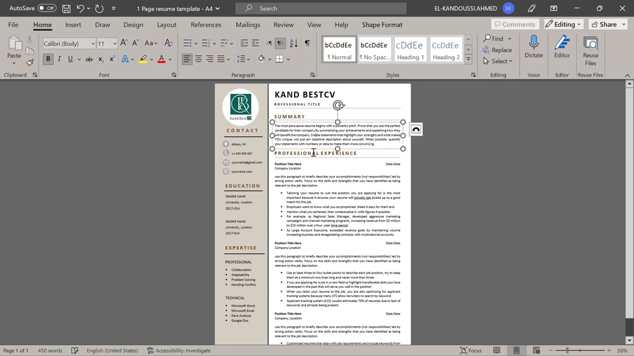 Professional  Resume Template for Google Docs, MS Word, Apple Pages.