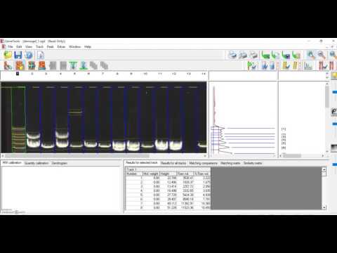 Genetools Molecular Weight Sizing