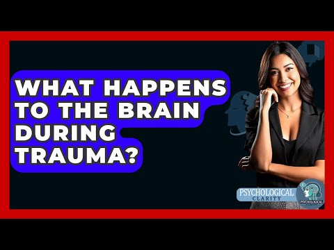 What Happens To The Brain During Trauma? - Psychological Clarity