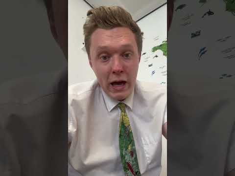 GCSE Geography Paper 3 - What to revise