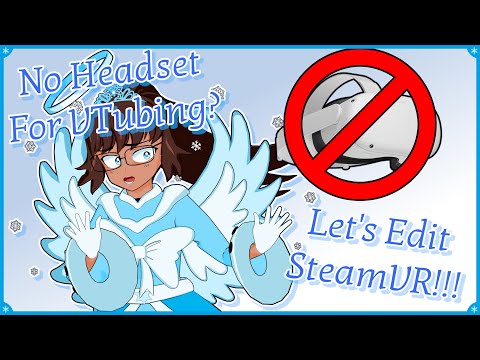 How To Setup SteamVR Without Headset For VTubing With Vives/Tundras!!!