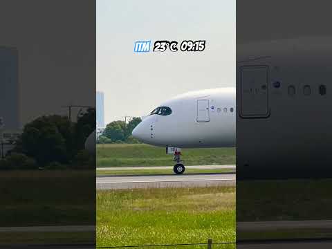 JAL AirbusA350-900 oneworld Osaka International Airport #airbusa350 #osaka #acceleration #oneworld