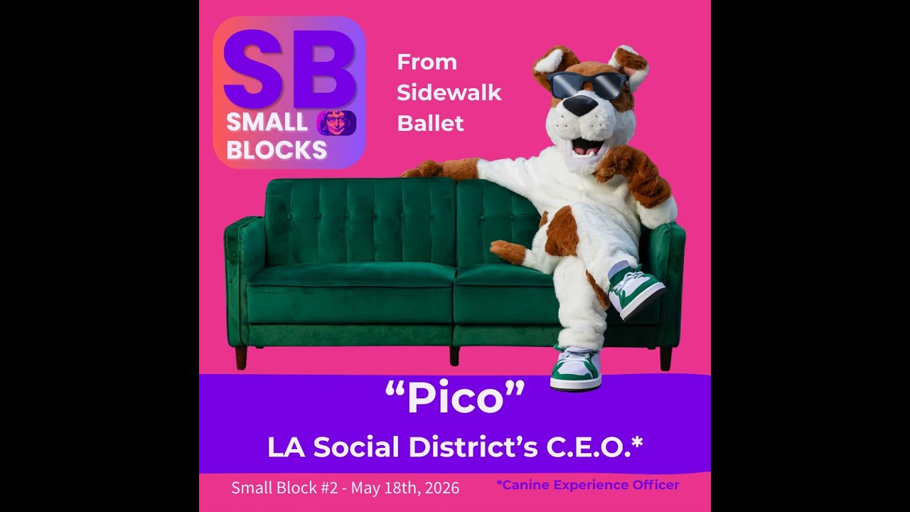 Pico - The District Dog