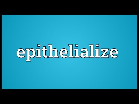 Epithelialize Meaning
