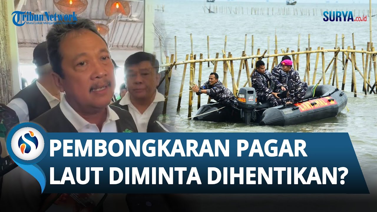 Pantas Saja Menteri KKP Minta Hentikan Pembongkaran Pagar Laut di Tangerang, Ternyata Ini ...