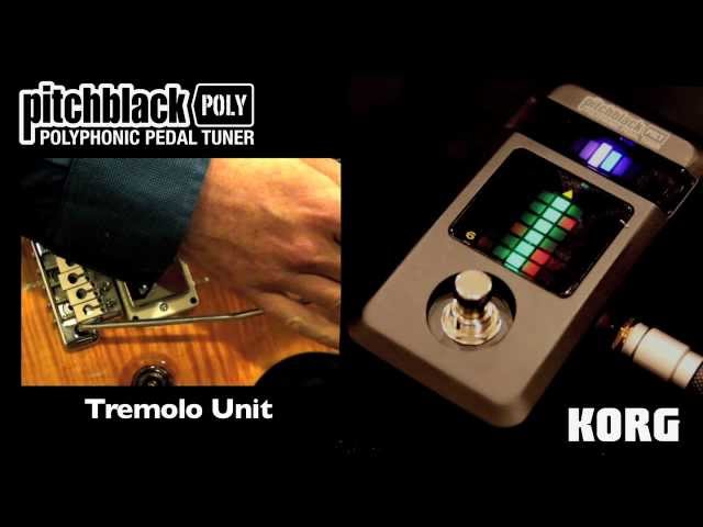 Korg Pitchblack Poly - kaufen bei digitec