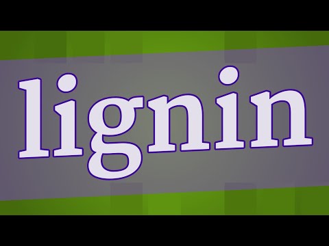 LIGNIN pronunciation • How to pronounce LIGNIN
