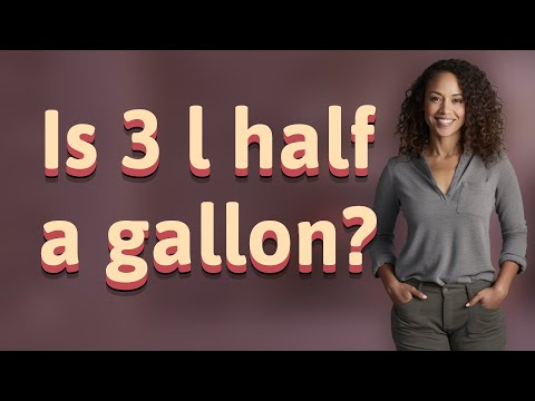 Is 3 l half a gallon?