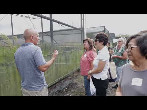 2024 Fresh Look Expo Virtual Nursery Tour