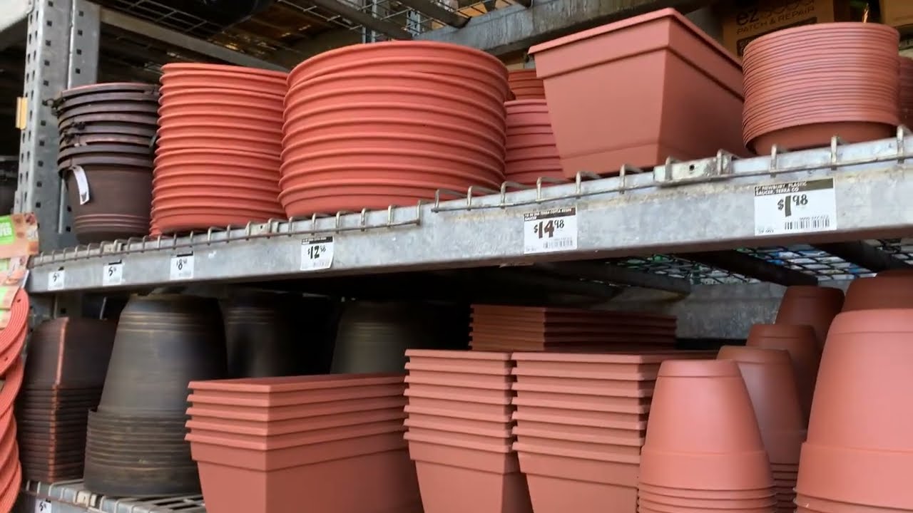 $16 Bucks for Large Container & Saucer -- UNBELIEVABLE